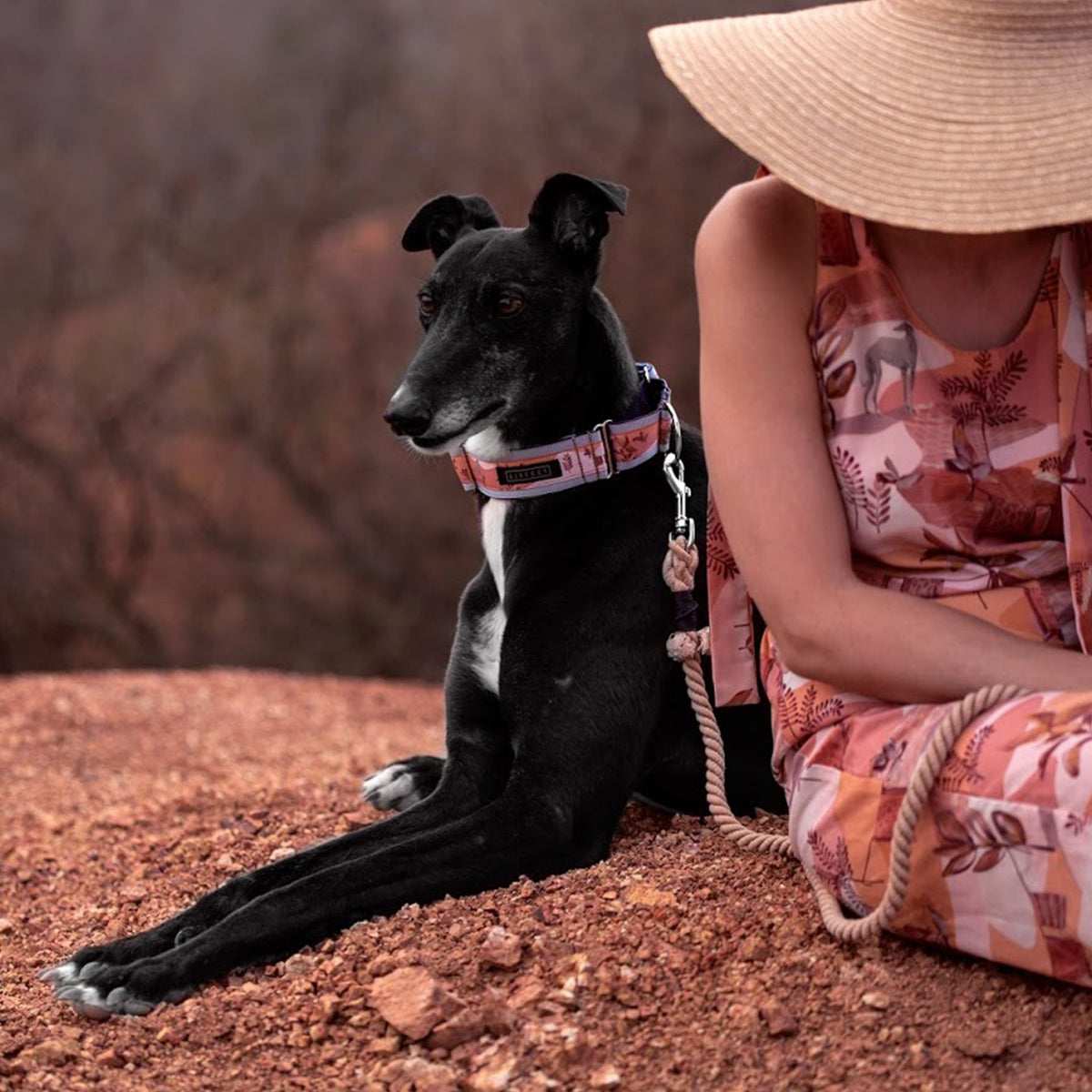 Anna Daubner Collab Collection – sixfeetdogwear